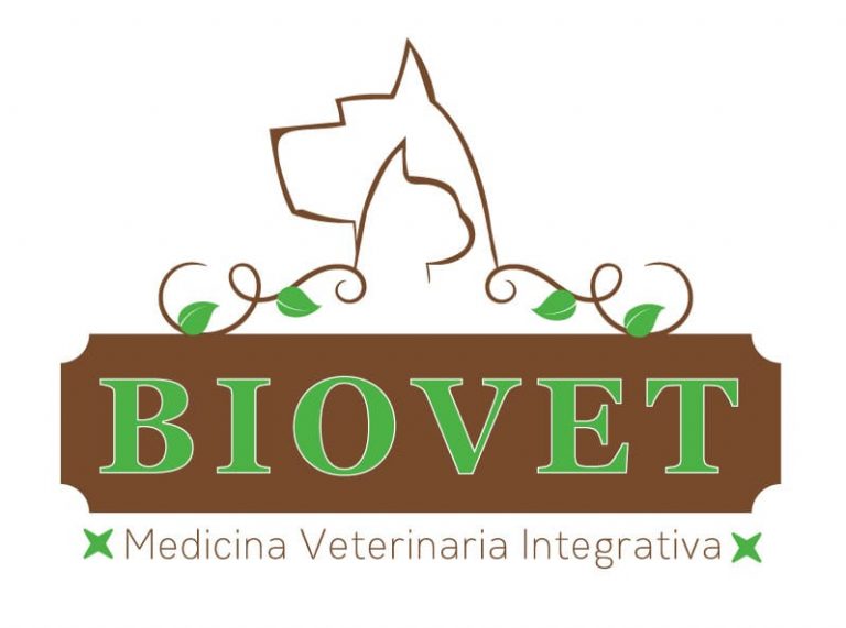 Página de ejemplo – Portal Biovet
